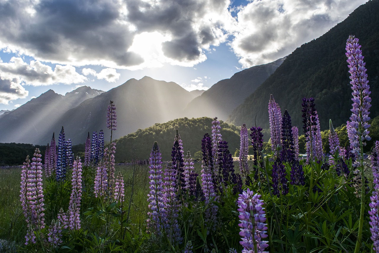10 Gorgeous Blue Wildflowers to Surround Your Garden With - Garden and ...