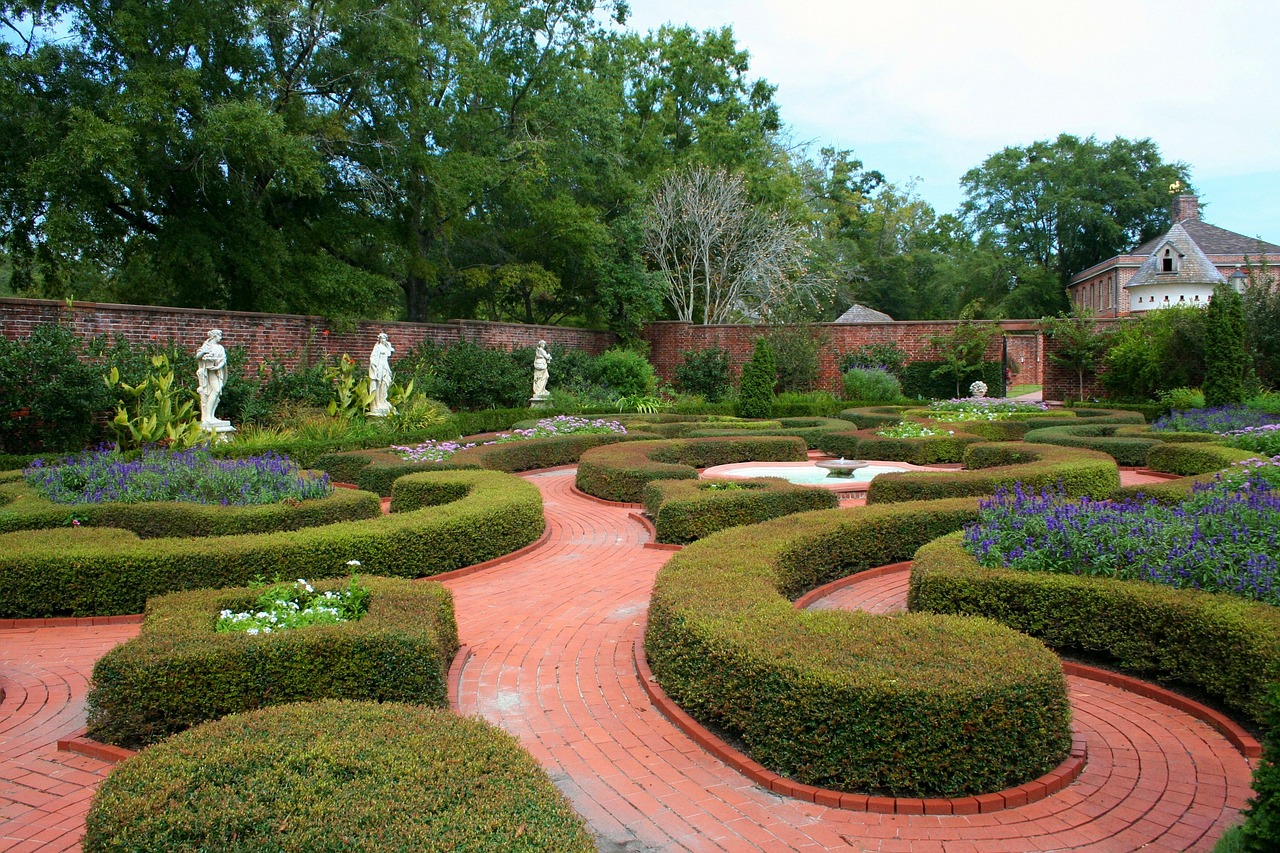 19 Gorgeous Evergreen Shrubs that Add Color to Your Garden Year Round ...