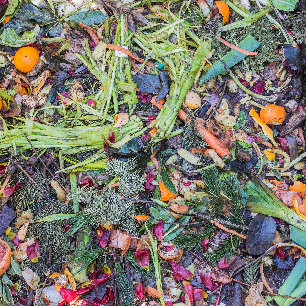 7 Best Indoor Compost Bins - Garden and Happy