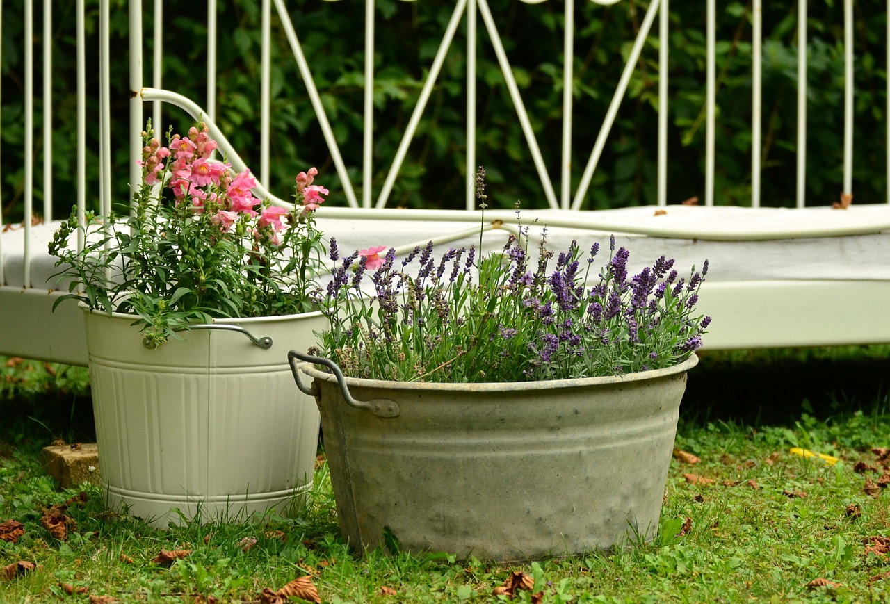 11 Frustrating Container Gardening Challenges and How to Solve Them ...