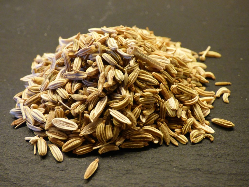 How to Grow Fennel Plant in Your Garden - Garden and Happy