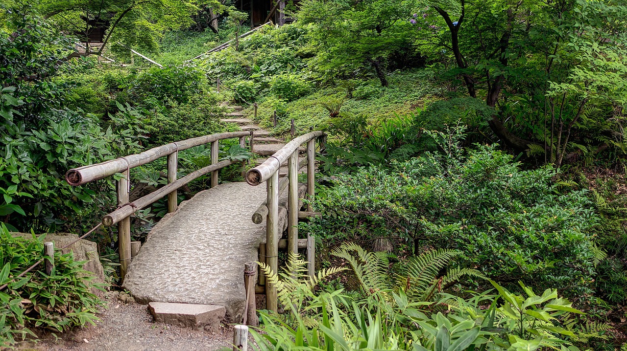 How to Create a Beautiful Tropical Garden in Your Own Backyard - Garden ...