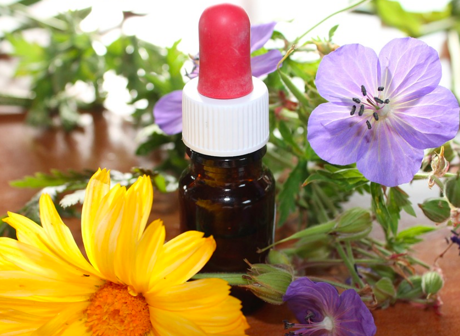 How to Make a Tincture from Your Homegrown Medicinal Herbs - Garden and ...