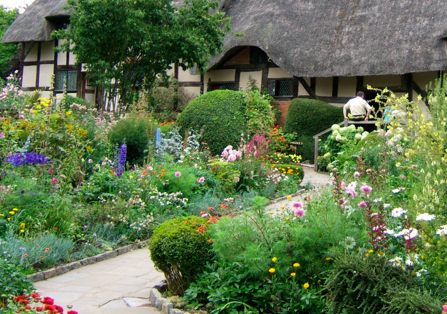 Language of Flowers to Turn Your Garden into a Beautiful Poem - Garden ...