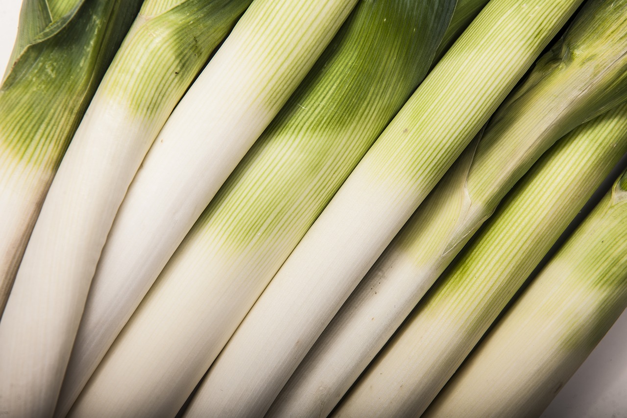 15 Giant Vegetables You Can Grow in Your Garden - Garden and Happy