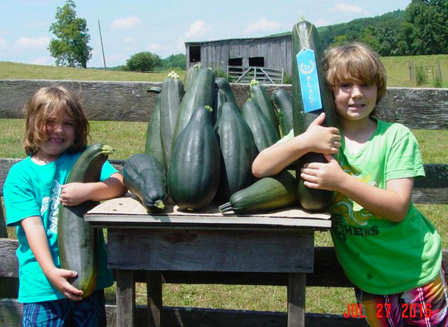 15 Giant Vegetables You Can Grow in Your Garden - Garden and Happy