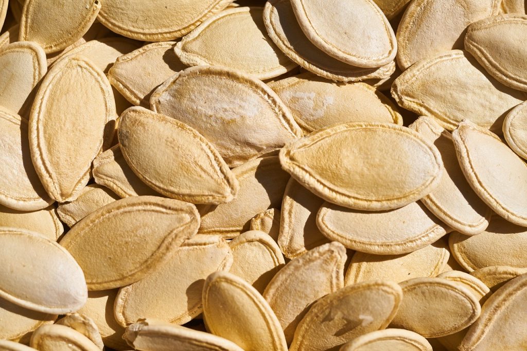 How to Store Vegetable and Herb Seed Packets Properly - Garden and Happy