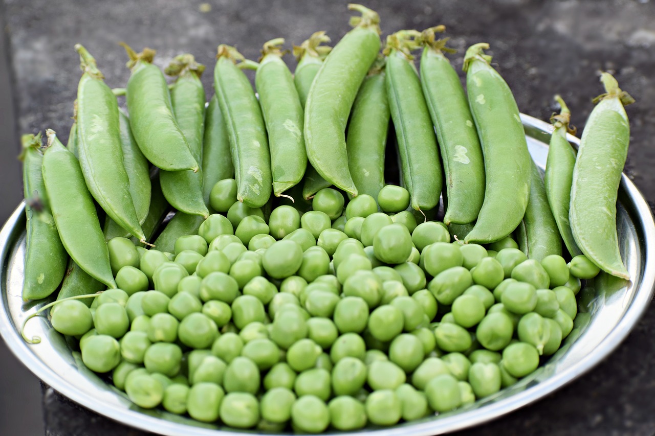 How to Grow Peas in Your Backyard - Garden and Happy