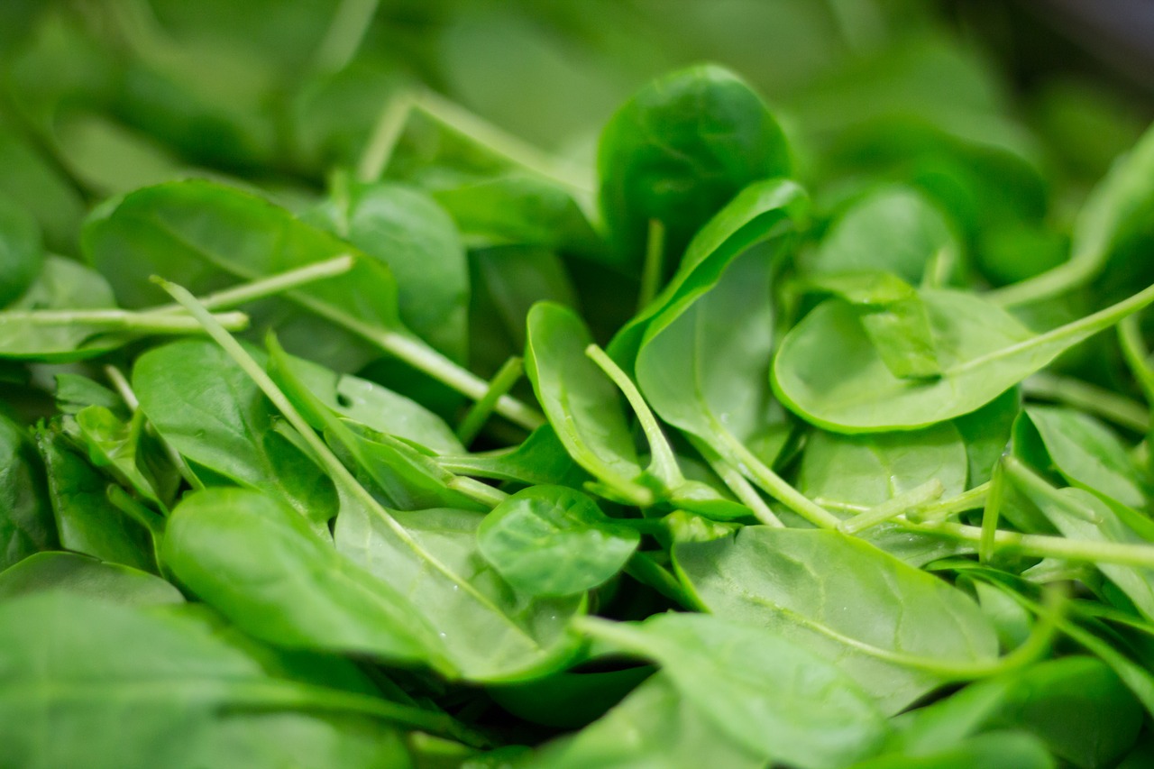 How to Grow the Healthiest, Most Productive Spinach Plants Ever ...