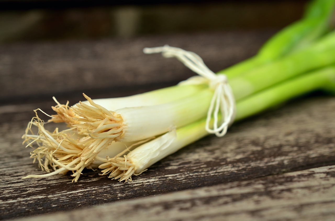 An Easy-to-Follow Welsh Onion Growing Guide - Garden and Happy