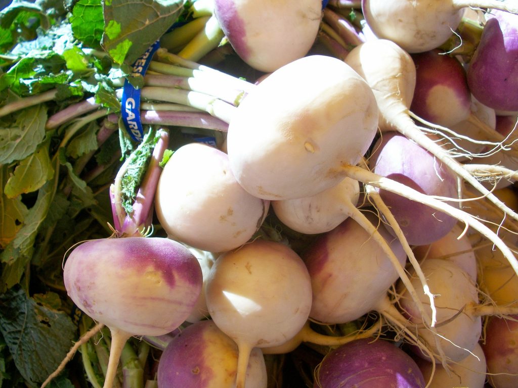 All You Need to Know About Growing Turnips - Garden and Happy