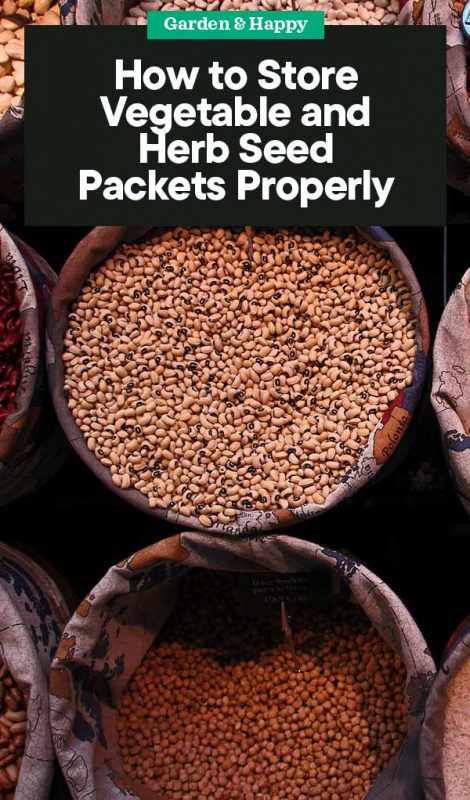 How to Store Vegetable and Herb Seed Packets Properly - Garden and Happy