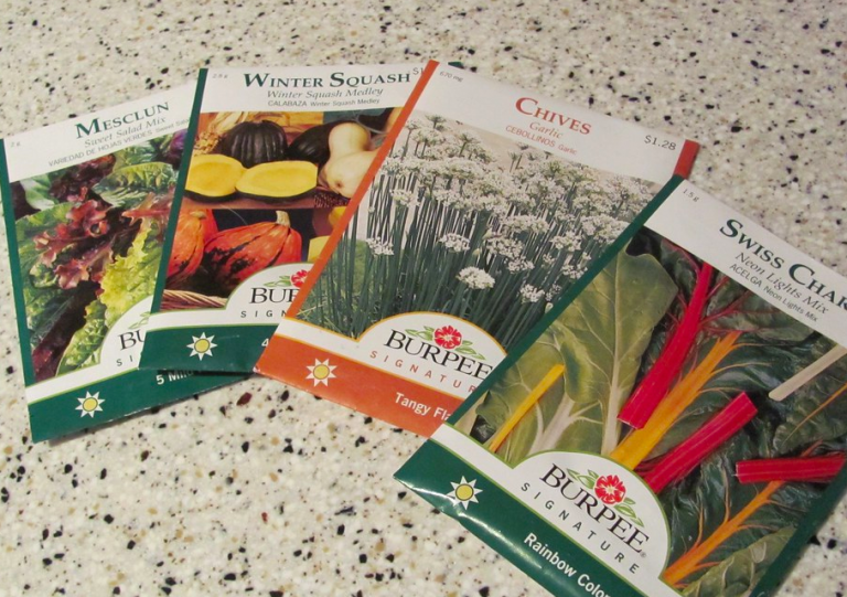 How to Store Vegetable and Herb Seed Packets Properly - Garden and Happy