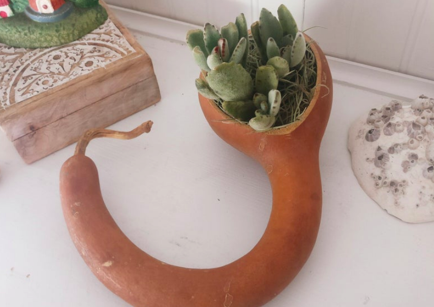 15 Amazing Ways to Use Decorative Gourds This Fall - Garden and Happy