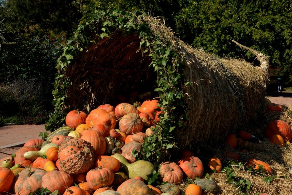 15 Amazing Ways to Use Decorative Gourds This Fall - Garden and Happy
